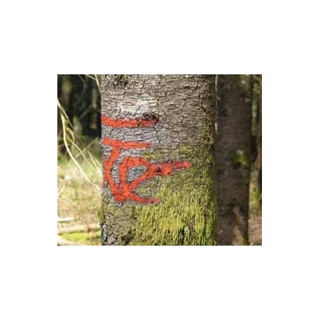 STRONG MARKER - SOPPEC | Long Lasting Tree Marking Spray Paint