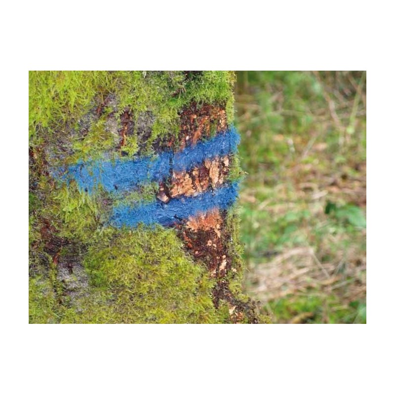 STRONG MARKER - SOPPEC | Long Lasting Tree Marking Spray Paint